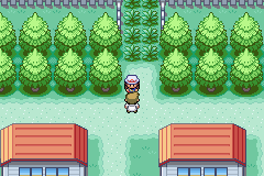 Poketown | città virtuale Pokémon italiana