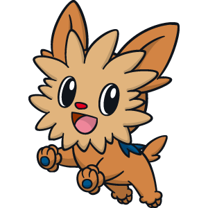 Lillipup - Pokémon #506 - Pokétown Pokédex